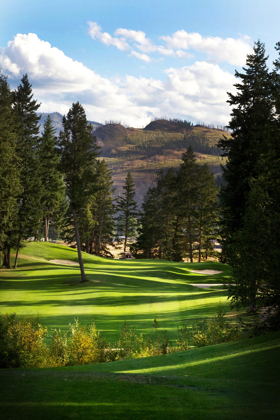 Photo Gallery - Chinook Cove Golf Club